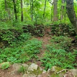 Busby Trail, Spruce Hill Lost Pond and Blackburnian Loop, Massachusetts ...