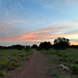 Boston Hill Trail, New Mexico - 212 Reviews, Map | AllTrails