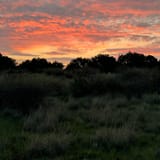 Boston Hill Trail, New Mexico - 212 Reviews, Map | AllTrails