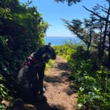 Amanda's Trail, Oregon - 546 Reviews, Map | AllTrails