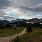 Silver Forest Trail, Washington - 566 Reviews, Map | AllTrails