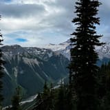 Silver Forest Trail, Washington - 566 Reviews, Map | AllTrails