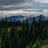 Silver Forest Trail, Washington - 566 Reviews, Map | AllTrails