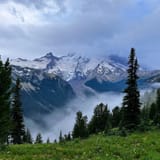 Silver Forest Trail, Washington - 566 Reviews, Map | AllTrails