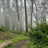 Mount Sutro Loop, California - 2,534 Reviews, Map | AllTrails
