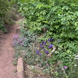 Mount Sutro Loop, California - 2,513 Reviews, Map | AllTrails