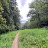 Lord Hill, Main Trail, and Temple Pond Loop Trail, Washington - 1,456 ...