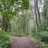 Lord Hill, Main Trail, and Temple Pond Loop Trail, Washington - 1,456 ...
