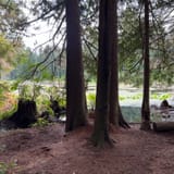 Lord Hill, Main Trail, and Temple Pond Loop Trail, Washington - 1,456 ...