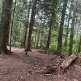 Lord Hill, Main Trail, and Temple Pond Loop Trail, Washington - 1,456 ...