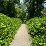 Hard Times Loop, North Carolina - 1,640 Reviews, Map | AllTrails