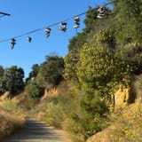 Murphy Ranch Trail, California - 4,083 Reviews, Map | AllTrails