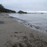 Sand Point Trail, Washington - 320 Reviews, Map | AllTrails