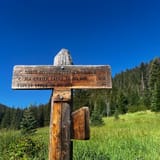 Upper Forest Lakes Trail, Colorado - 662 Reviews, Map | AllTrails