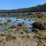 Sand Point Trail, Washington - 320 Reviews, Map | AllTrails