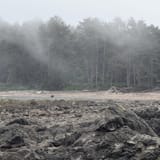 Sand Point Trail, Washington - 320 Reviews, Map | AllTrails