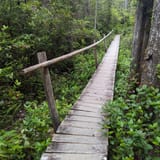 Sand Point Trail, Washington - 320 Reviews, Map | AllTrails