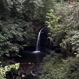 Hidden Falls Nature Park Trail, Oregon - 541 Reviews, Map | AllTrails