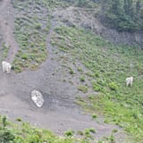 Sarrail Ridge via Rawson Lake Trail, Alberta, Canada - 3,094 Reviews ...