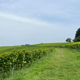 Oberkircher Brennersteig, Baden-Wuerttemberg, Germany - 67 Reviews, Map ...