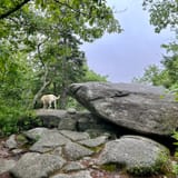 Pot Lake Loop, Nova Scotia, Canada - 1,349 Reviews, Map | AllTrails