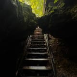 Cave Spring Loop Trail, Missouri - 401 Reviews, Map | AllTrails