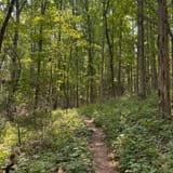 Cave Spring Loop Trail, Missouri - 401 Reviews, Map | AllTrails