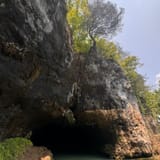 Cave Spring Loop Trail, Missouri - 401 Reviews, Map | AllTrails