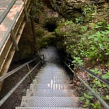 Cave Spring Loop Trail, Missouri - 401 Reviews, Map | AllTrails