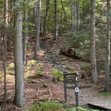 Appalachian Trail, Hosack Run, and Locust Gap Loop, Pennsylvania - 452 ...
