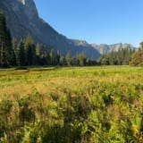 Sentinel Meadow Cook's Meadow Loop Trail, California - 3,712 Reviews ...