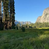 Sentinel Meadow Cook's Meadow Loop Trail, California - 3,712 Reviews ...