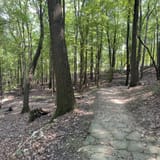 Lookout Ridge Loop and Skyline Overlook, Ohio - 752 Reviews, Map ...