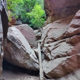 Spring Creek Canyon, Utah - 1,391 Reviews, Map | AllTrails