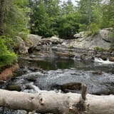 Wildcat Falls, New Hampshire - 2,266 Reviews, Map | AllTrails