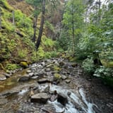 Multnomah Falls Trail, Oregon - 7,782 Reviews, Map | AllTrails