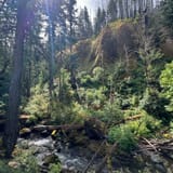 Multnomah Falls Trail, Oregon - 7,782 Reviews, Map | AllTrails
