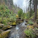 Multnomah Falls Trail, Oregon - 7,782 Reviews, Map | AllTrails