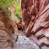 Spring Creek Canyon, Utah - 1,391 Reviews, Map | AllTrails