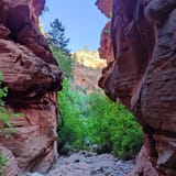 Spring Creek Canyon, Utah - 1,391 Reviews, Map | AllTrails