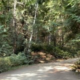 Dickerson Falls, Washington - 2,711 Reviews, Map | AllTrails