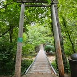 Tanyard Perimeter Loop, Arkansas - 3,081 Reviews, Map | AllTrails