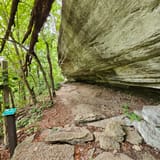 Tanyard Perimeter Loop, Arkansas - 3,081 Reviews, Map | AllTrails