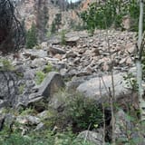 Cub Lake Loop, Colorado - 2,234 Reviews, Map | AllTrails