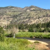 Cub Lake Loop, Colorado - 2,271 Reviews, Map | AllTrails