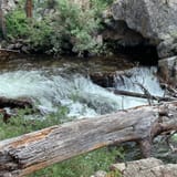 Cub Lake Loop, Colorado - 2,231 Reviews, Map | AllTrails