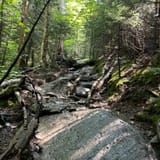 Mount Hunger via Waterbury Trail, Vermont - 1,582 Reviews, Map | AllTrails