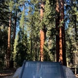 Congress Trail, California - 3,667 Reviews, Map | AllTrails