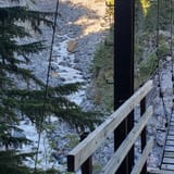Tahoma Creek Suspension Bridge, Washington - 118 Reviews, Map | AllTrails