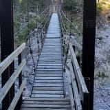 Tahoma Creek Suspension Bridge, Washington - 118 Reviews, Map | AllTrails